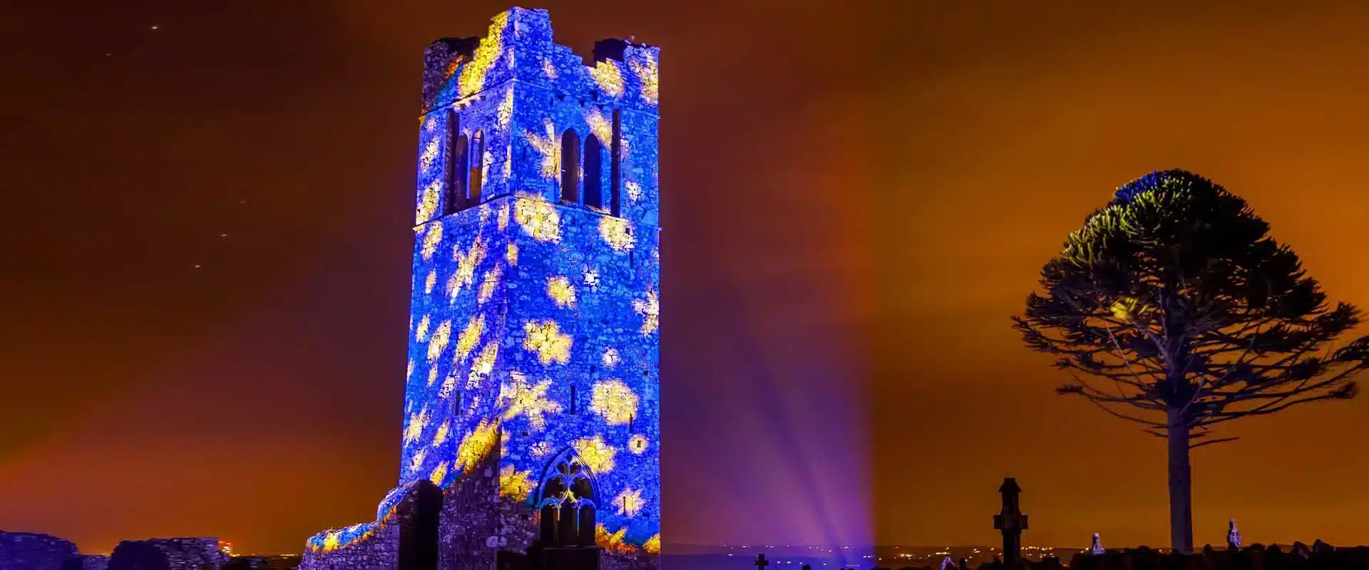Projector Projects - Fantasy Lights Group
